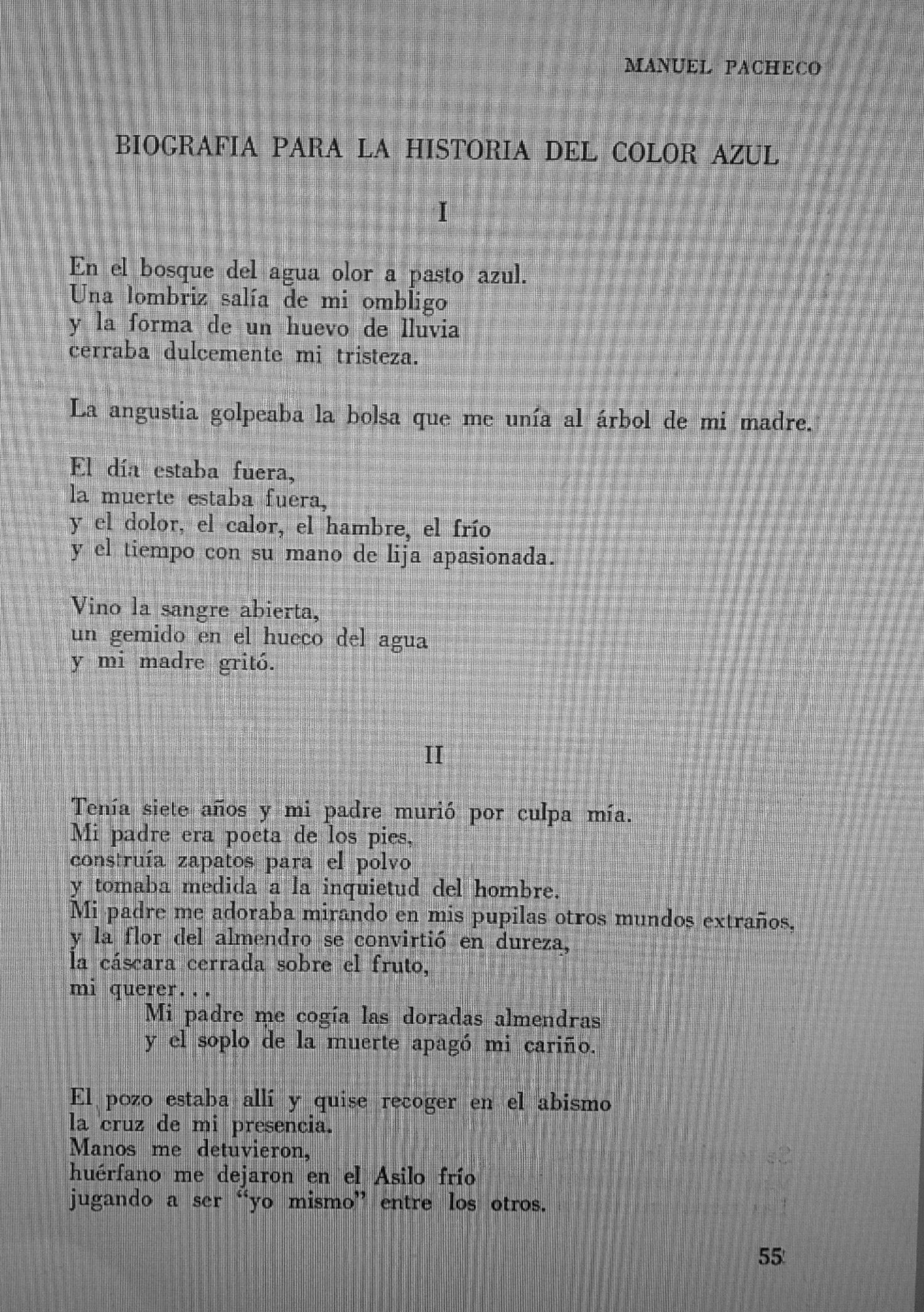 Poco conocido: «Biografía para la historia del color azul». Manuel ...